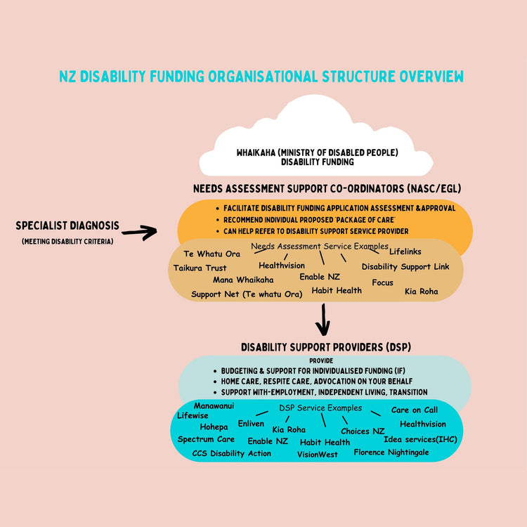How it works- Overview of Disability Funding Organisations – SensorySam